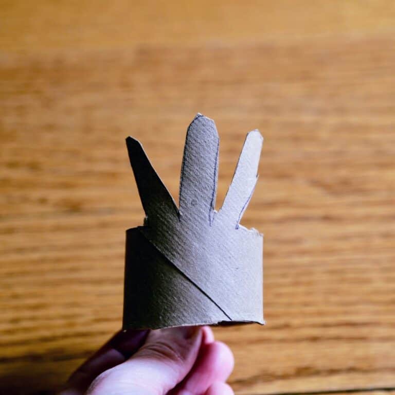 Adorable Chicken Craft with Cardboard - Platein28
