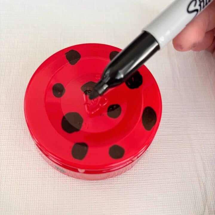 Easy Ladybug Craft for Kids (Plastic Cup) - Platein28