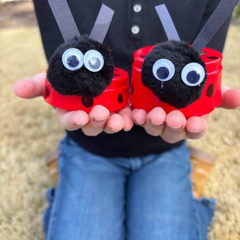 Easy Ladybug Craft for Kids (Plastic Cup) - Platein28