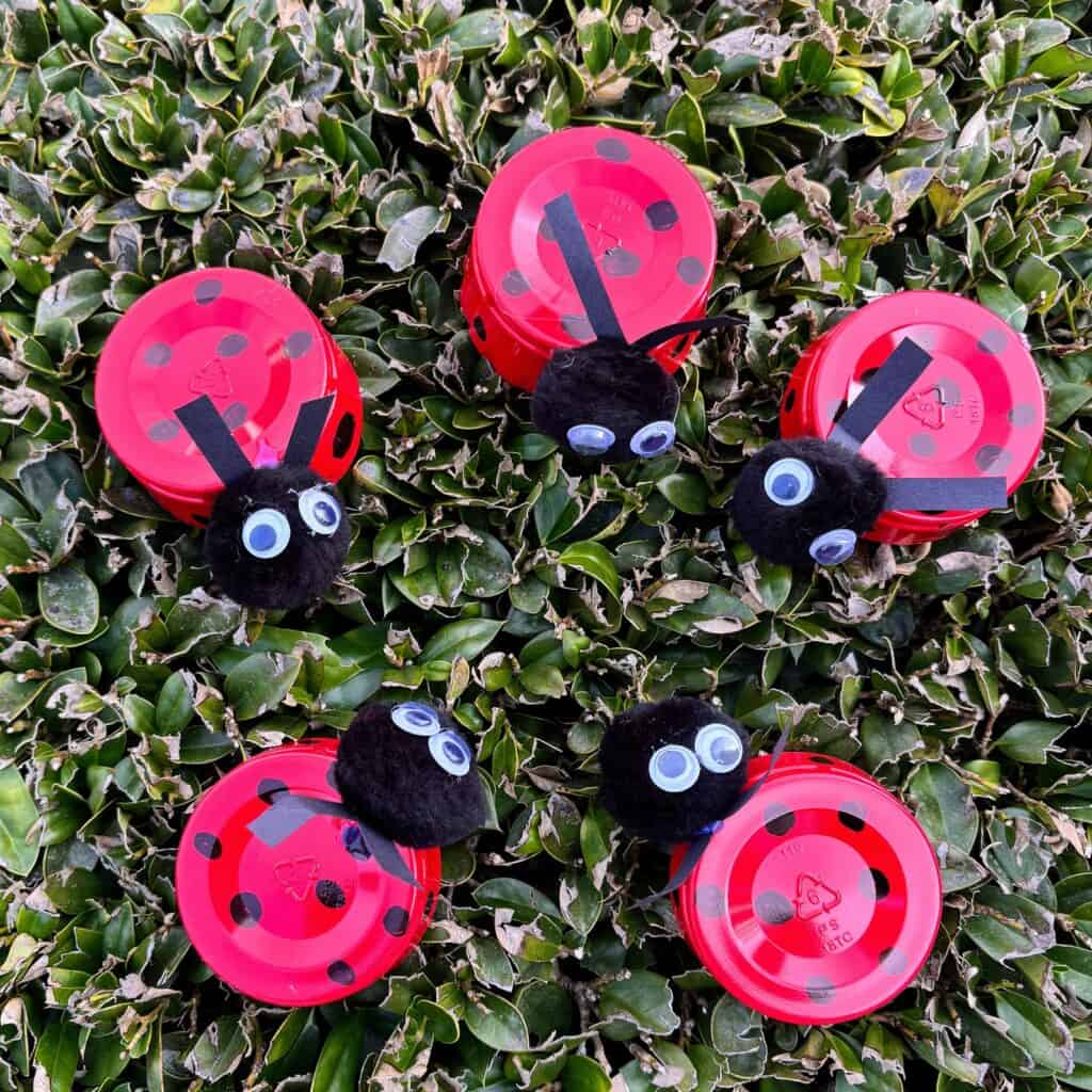 Easy Ladybug Craft for Kids (Plastic Cup) - Platein28